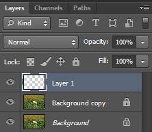 Online Course: Adobe Photoshop 101 - Learn Photoshop Today
